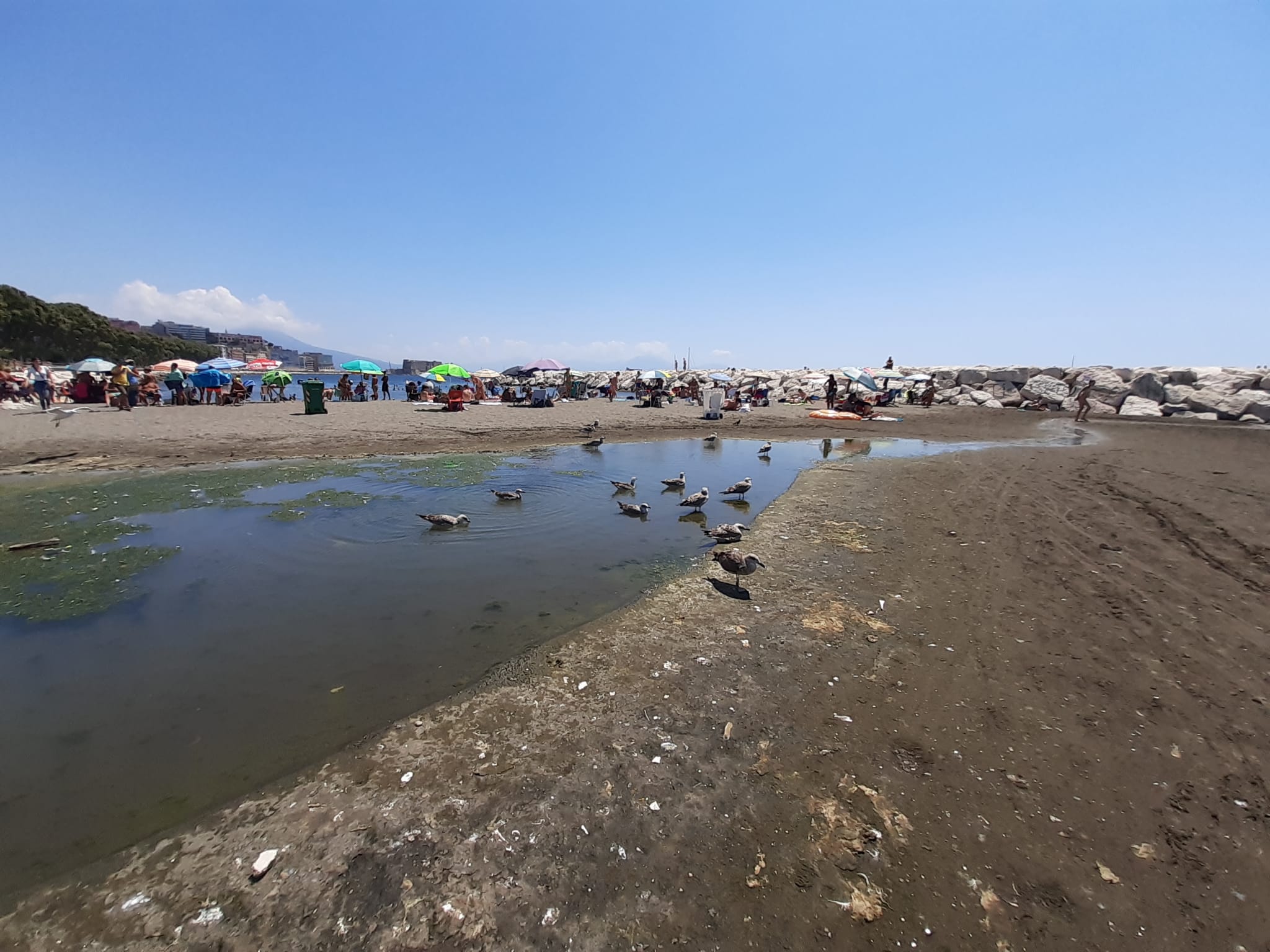 Mappatella Beach, Borrelli e Carbone (Europa Verde): “Spiaggia tagliata ...