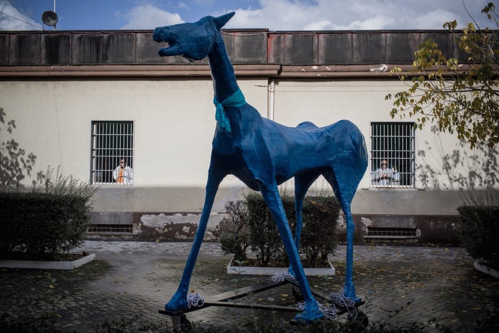 Marco Cavallo due giorni a Napoli – Vivi Campania